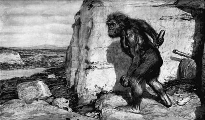 Students ask: “Were there really cavemen?” | The Creation Club | A ...