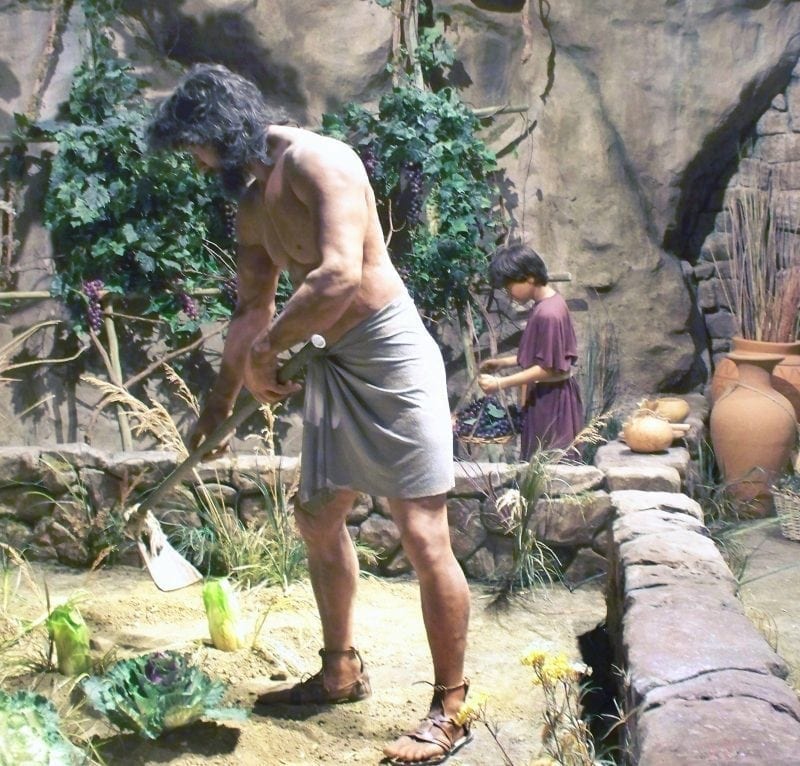 The Quest for the Historical Adam – The Creation Club | A Place for ...