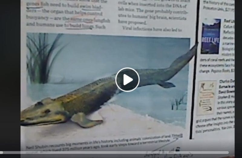 Fish to Human Evolution? Evidence Please! – The Creation Club | A Place ...