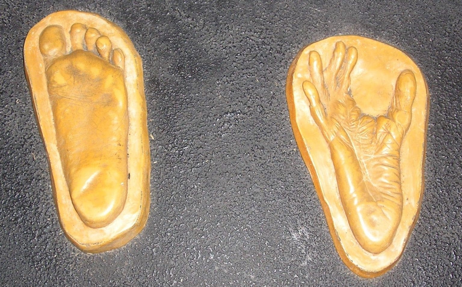 The Engineering Marvel of the Foot – The Creation Club | A Place for ...