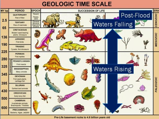 Basic Guide to Interpreting the Geologic Column – The Creation Club | A ...