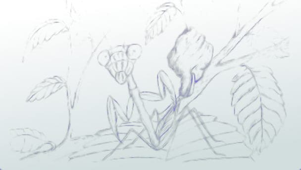 Insects Were on the Ark – Karl C. Priest – The Creation Club | A Place ...