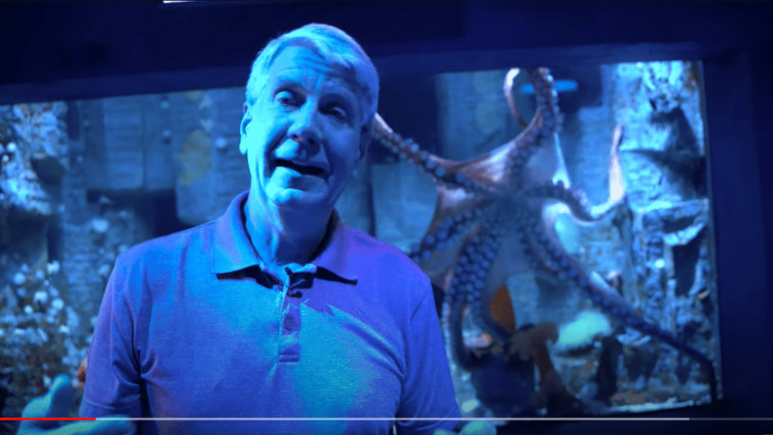 Math and the Creator – Katherine Loop – The Creation Club | A Place for ...